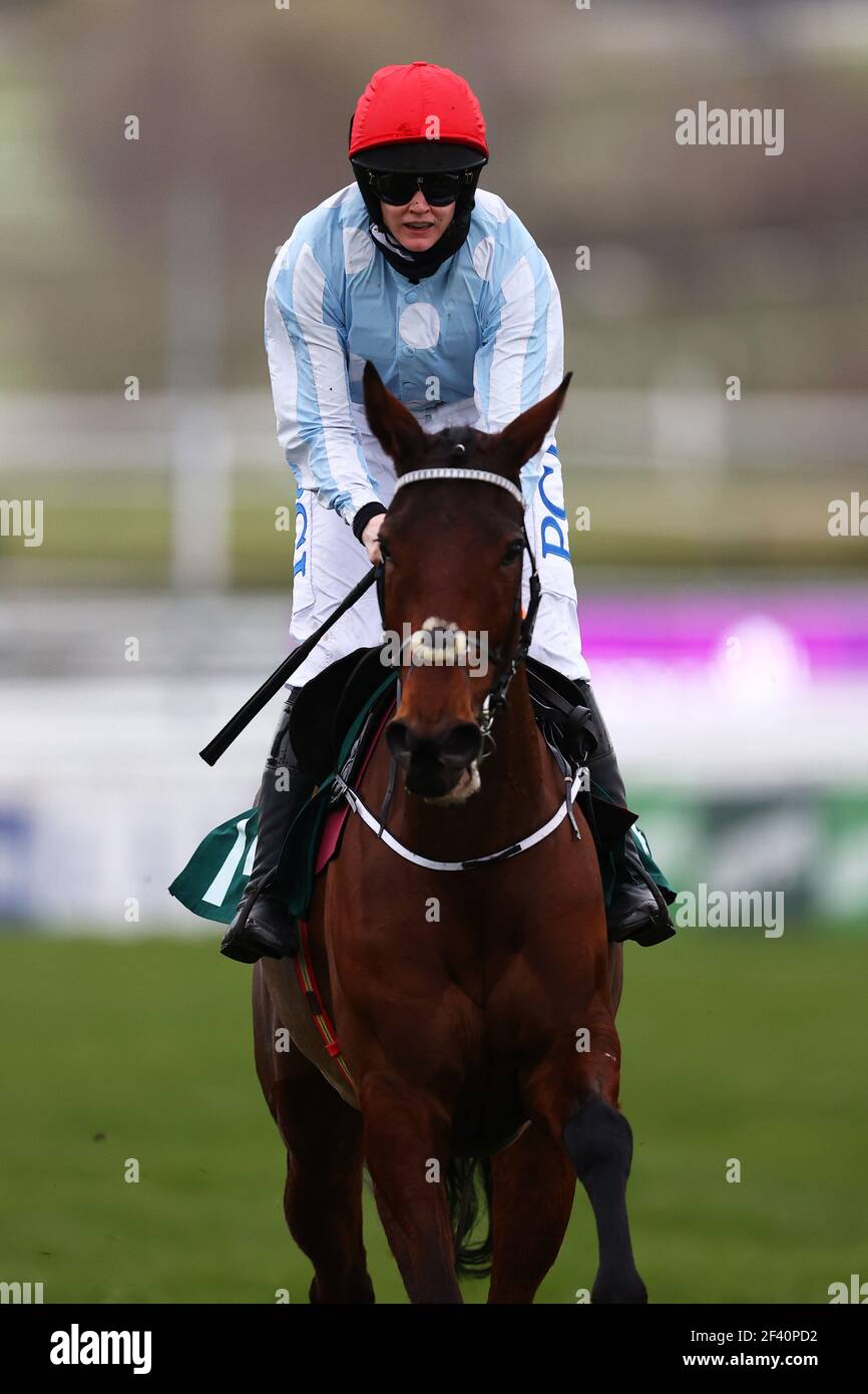 Grade 2 mares novices hurdle hi-res stock photography and images - Alamy