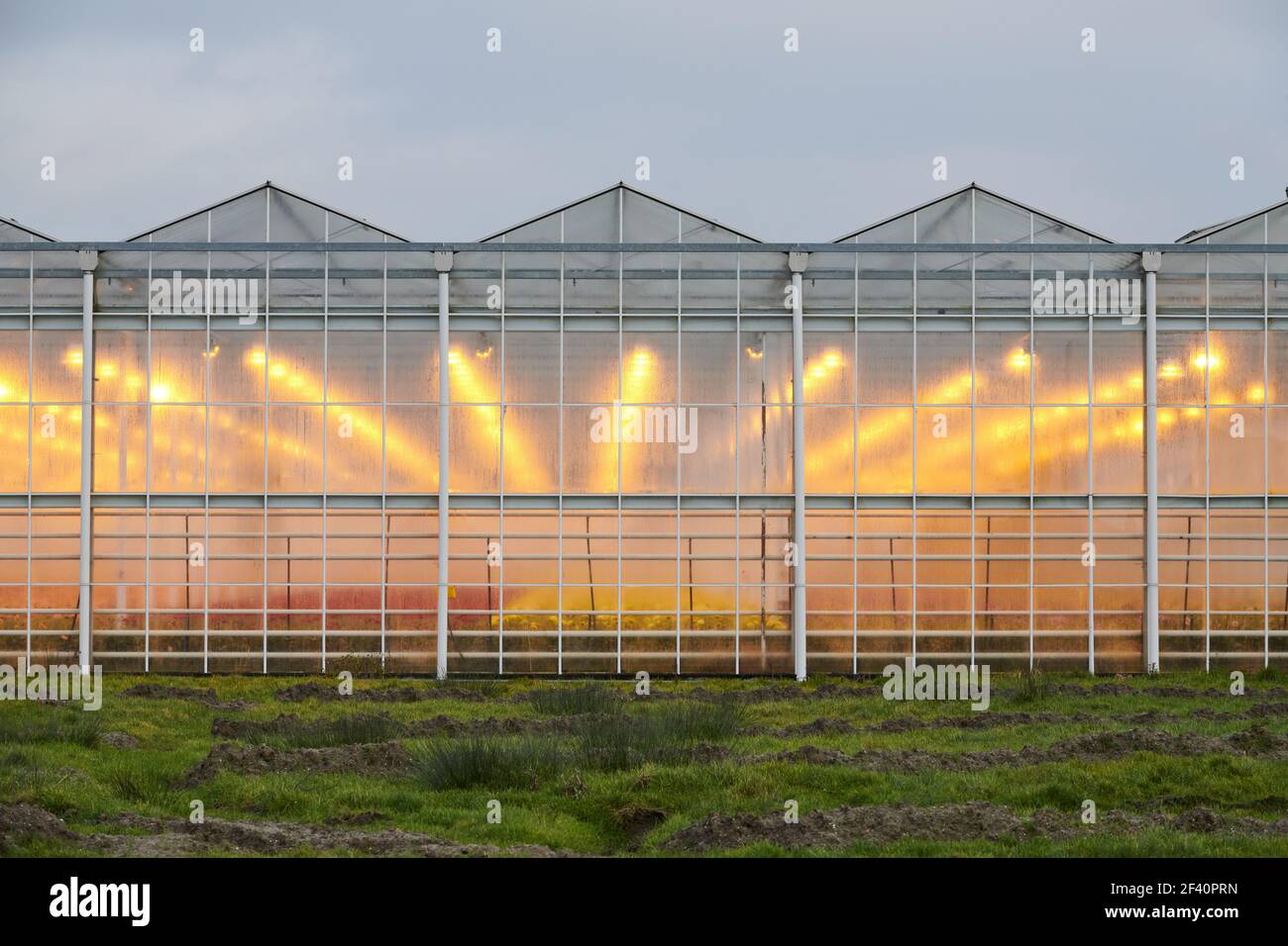 Dutch greenhouses hi-res stock photography and images - Alamy