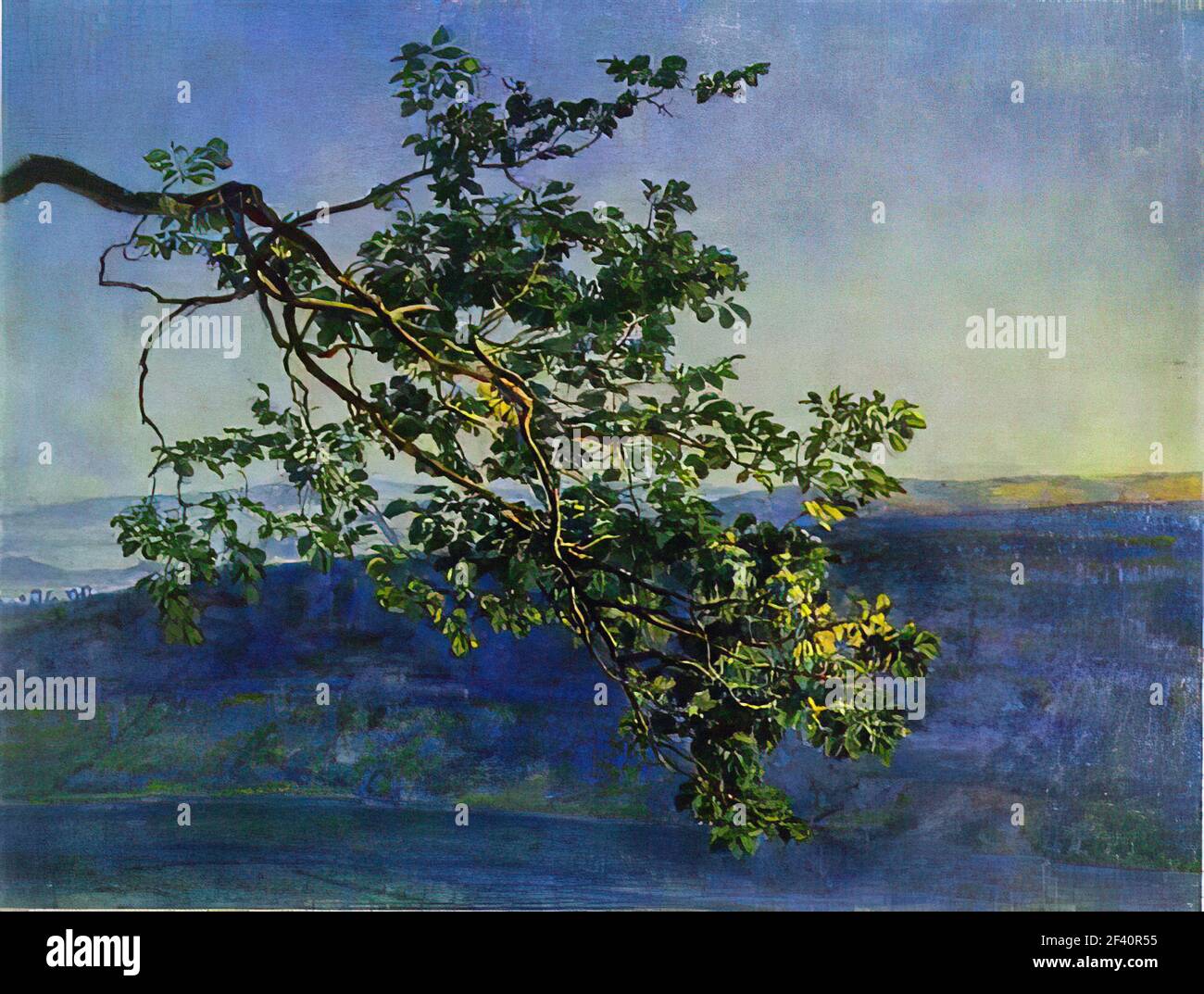 Alexandre Ivanov - Tree Branch C 1850 Stock Photo - Alamy