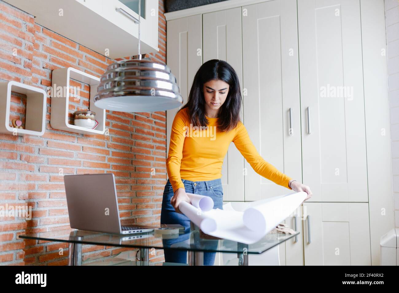 Female architect working at home with a laptop and blueprints. Persian ...