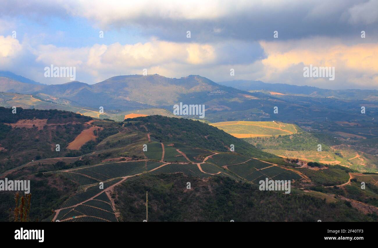 A high angle shot of tree-covered hills in a forest captured on a ...