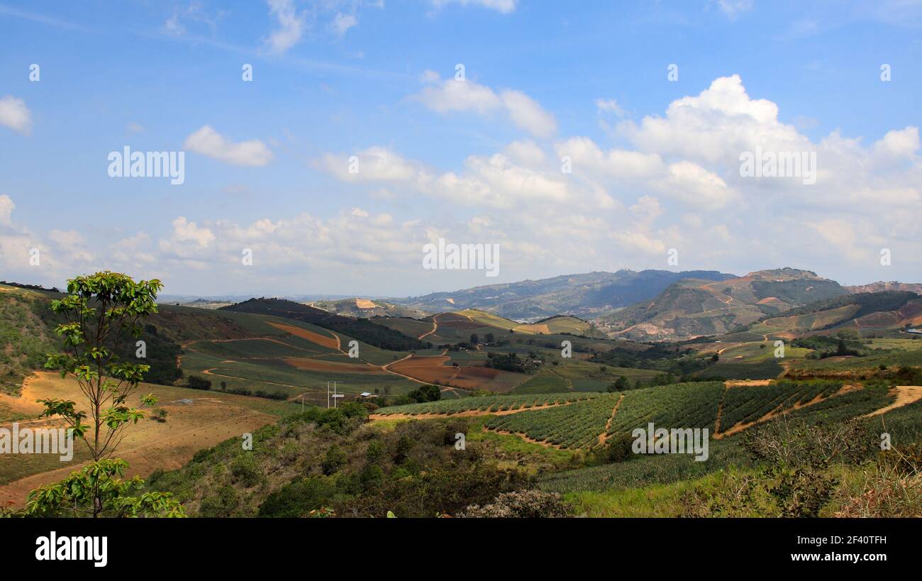 A high angle shot of the plant-covered mountains in the highlands ...