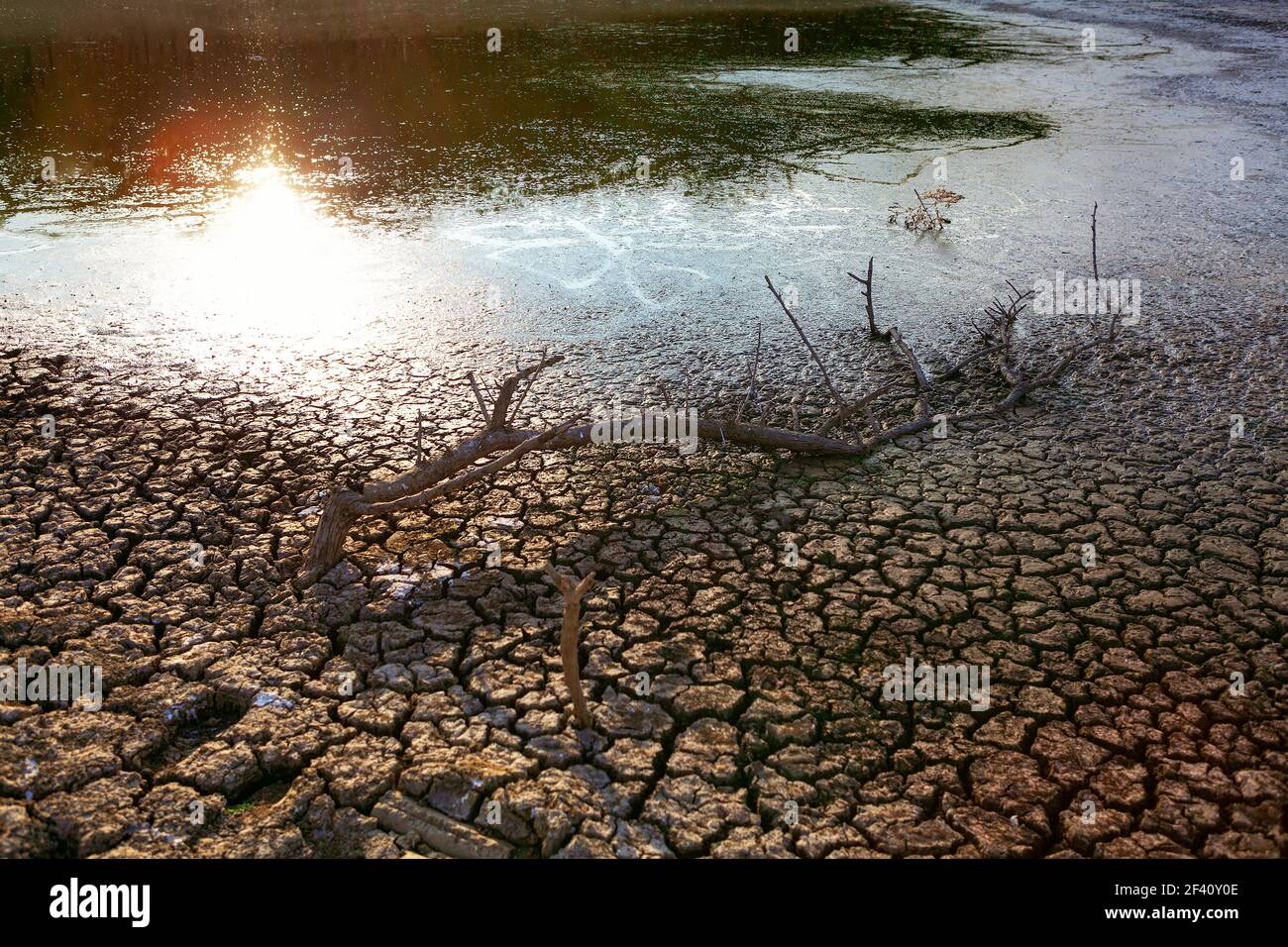 Lake Is at Low Water Levels . Drying lake with cracks on the bottom ...