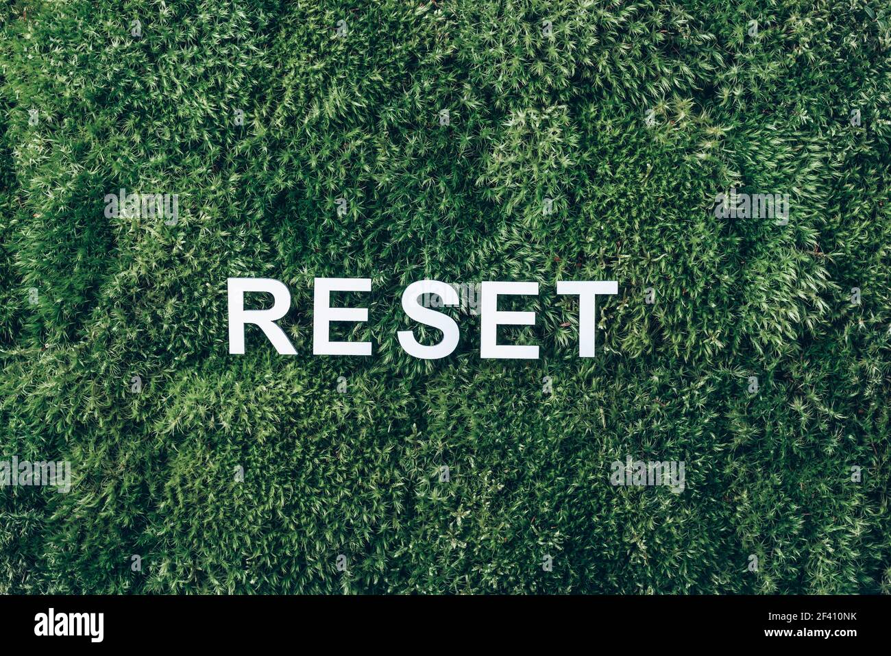 Word Reset on moss, green grass background. Top view. Copy space ...
