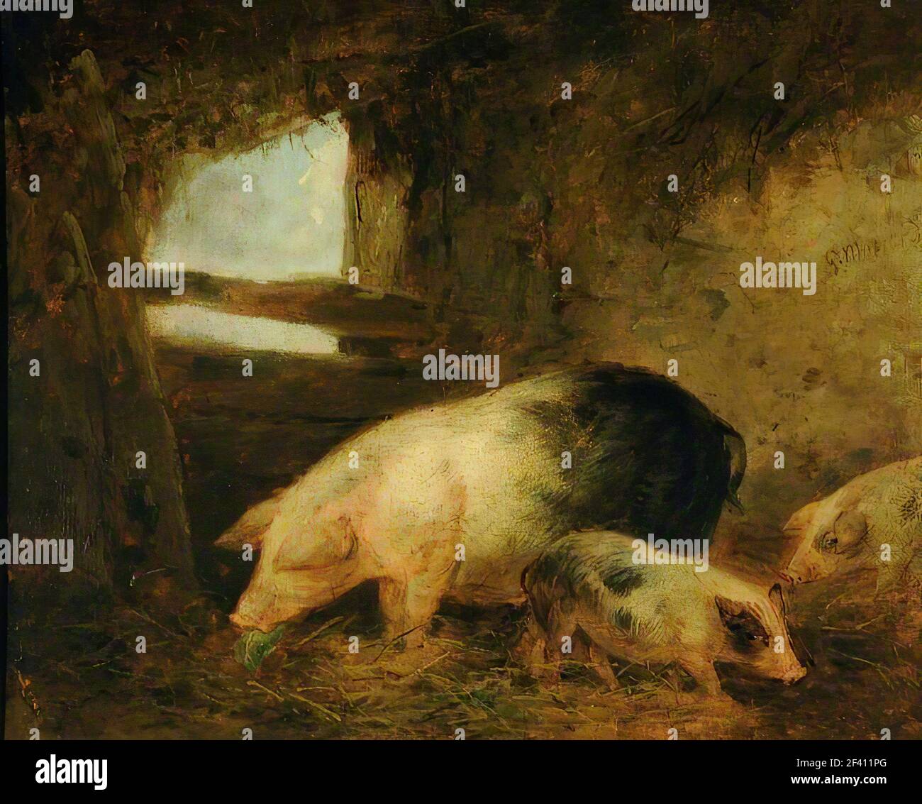 Pigs sty hi-res stock photography and images - Alamy