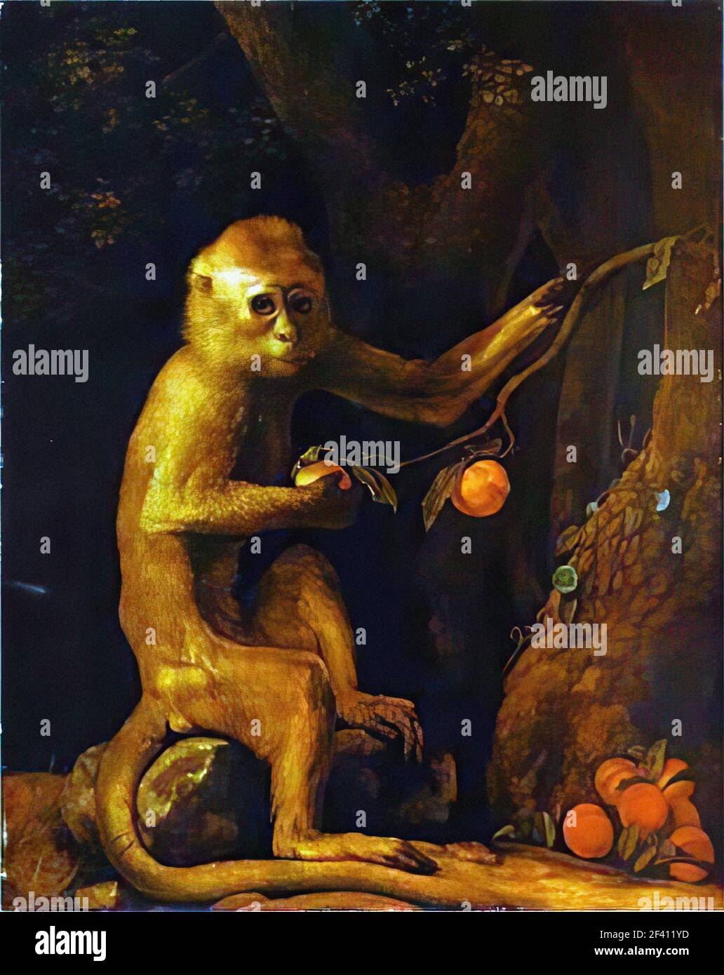 George stubbs monkey hi-res stock photography and images - Alamy
