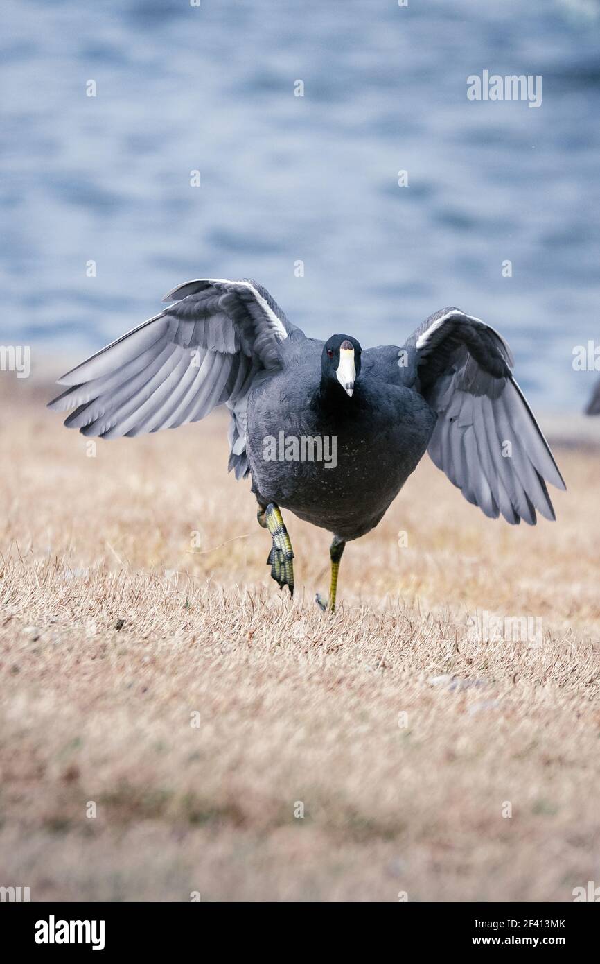 Twoards hi-res stock photography and images - Alamy