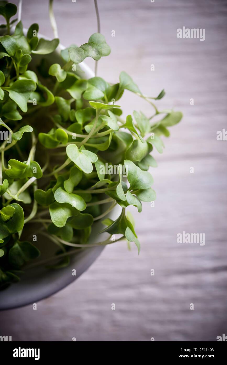 Cress garnish hi-res stock photography and images - Alamy