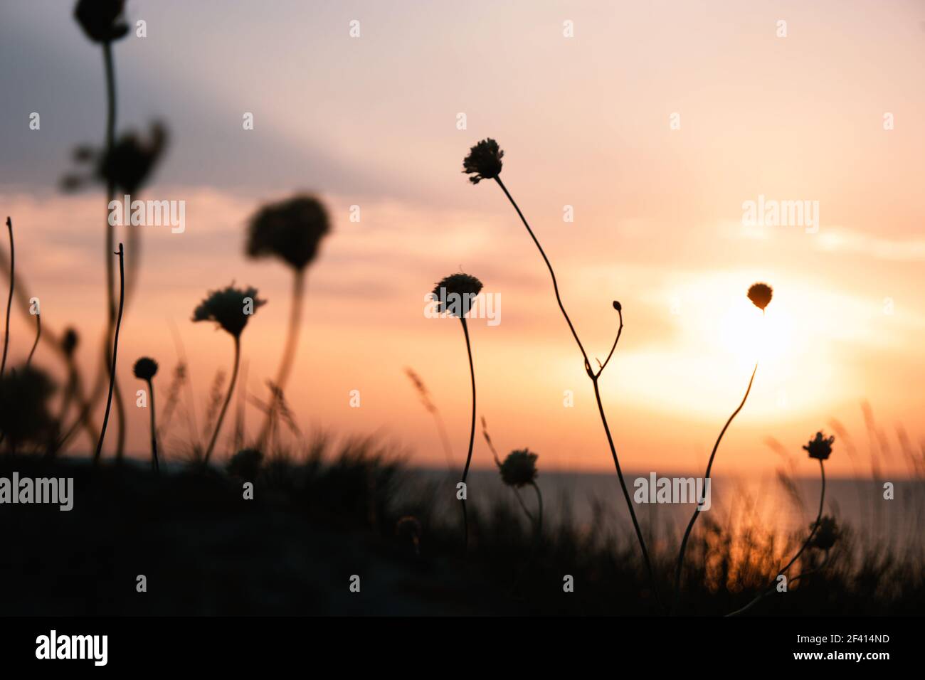 Csc background hi-res stock photography and images - Alamy