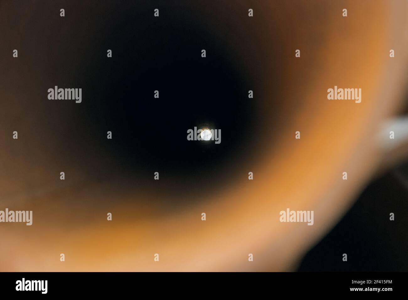 Pipage hi-res stock photography and images - Alamy