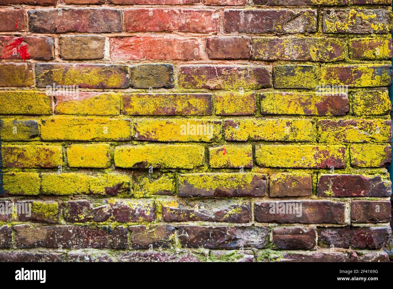 Old brick wall texture background half covered with lichen, frame for ...
