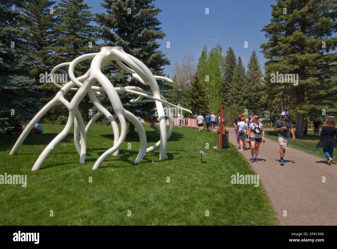 Steelroot hi-res stock photography and images - Alamy