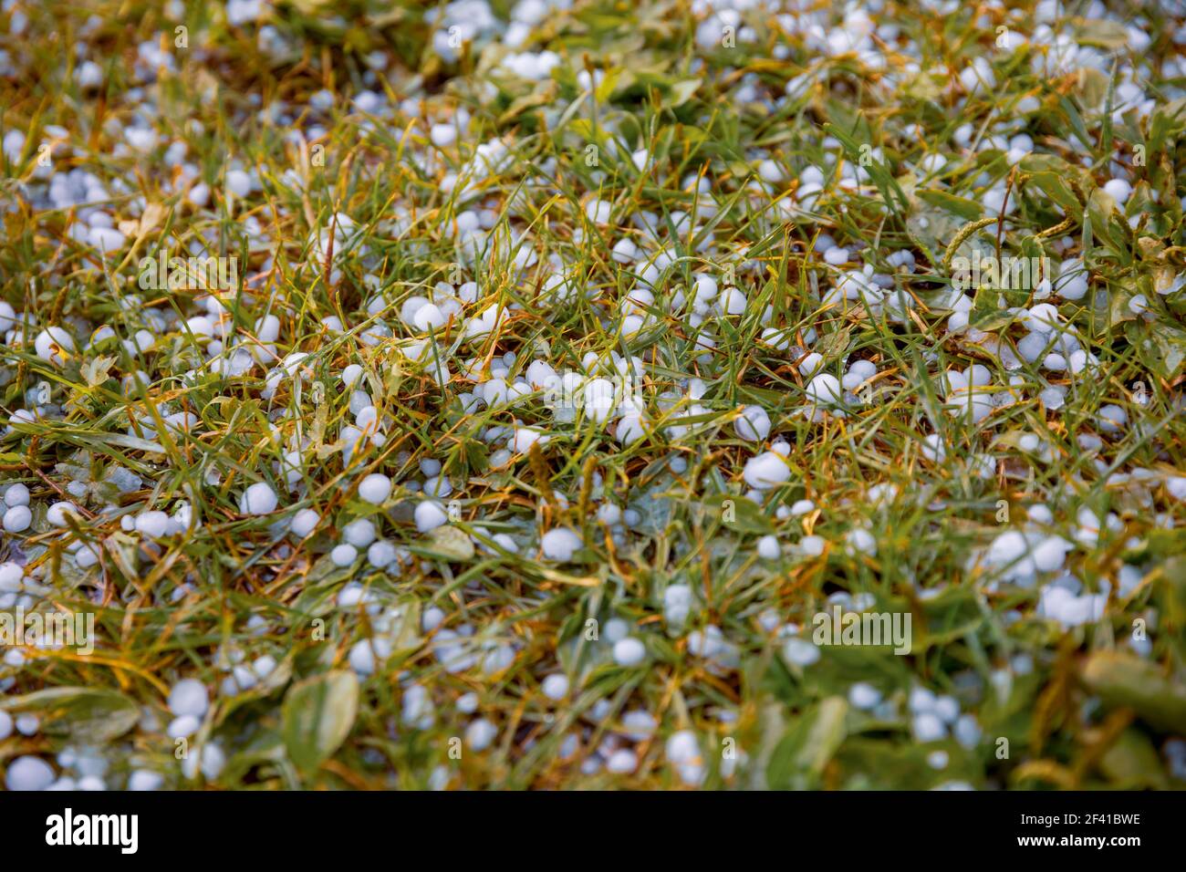 Hailstone hi-res stock photography and images - Alamy