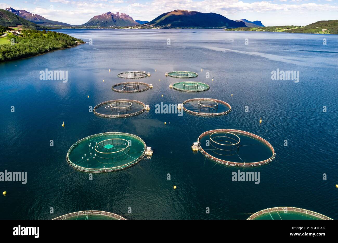 Farm salmon fishing in Norway aerial photography Stock Photo - Alamy
