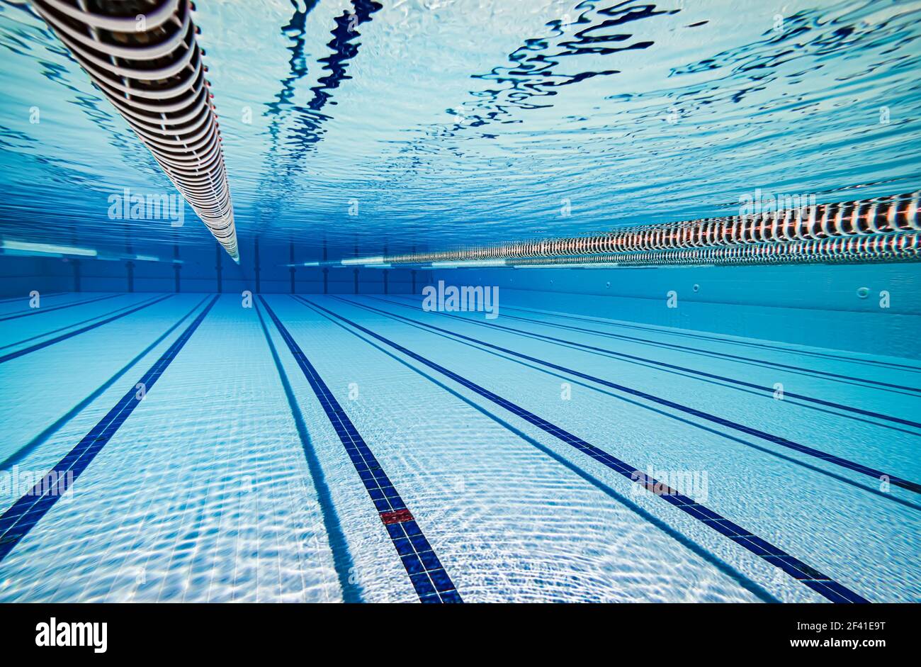 Competitive Swimming Pool Backgrounds
