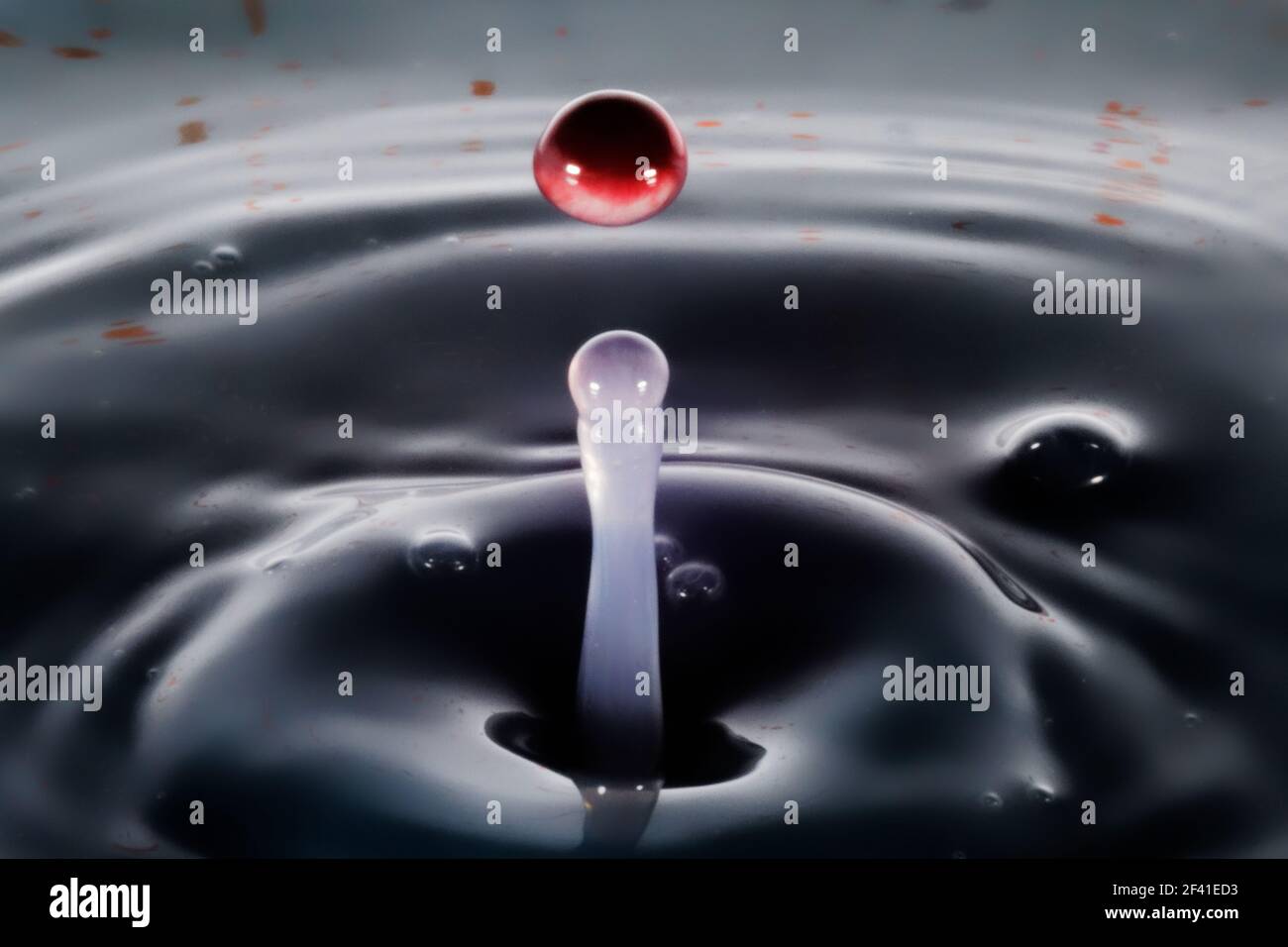 Colored water drop, circle ripples, splash of water, closeup Stock ...