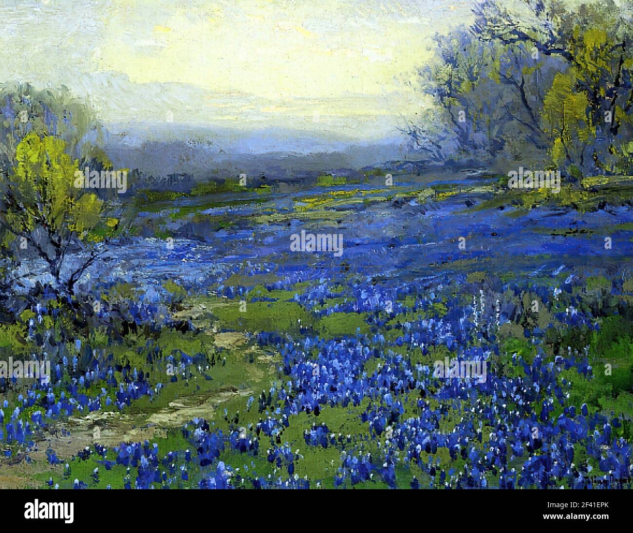 Julian Onderdonk - Morning Bluebonnets Stock Photo - Alamy
