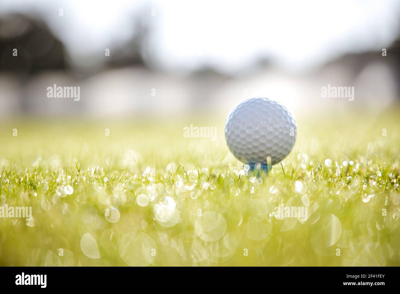 Ball driver golf hi-res stock photography and images - Alamy