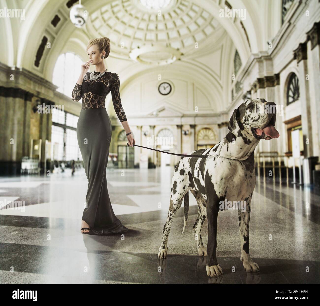 Smart young lady walking wit the giant dog Stock Photo - Alamy