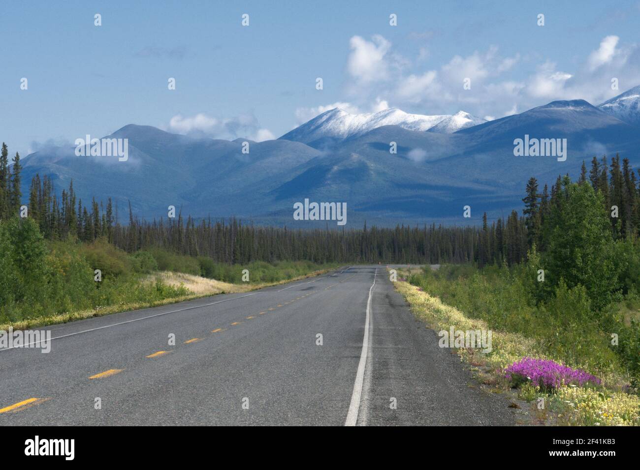 North America; Canada; Yukon Territory; Alaska Highway; Summer Stock ...