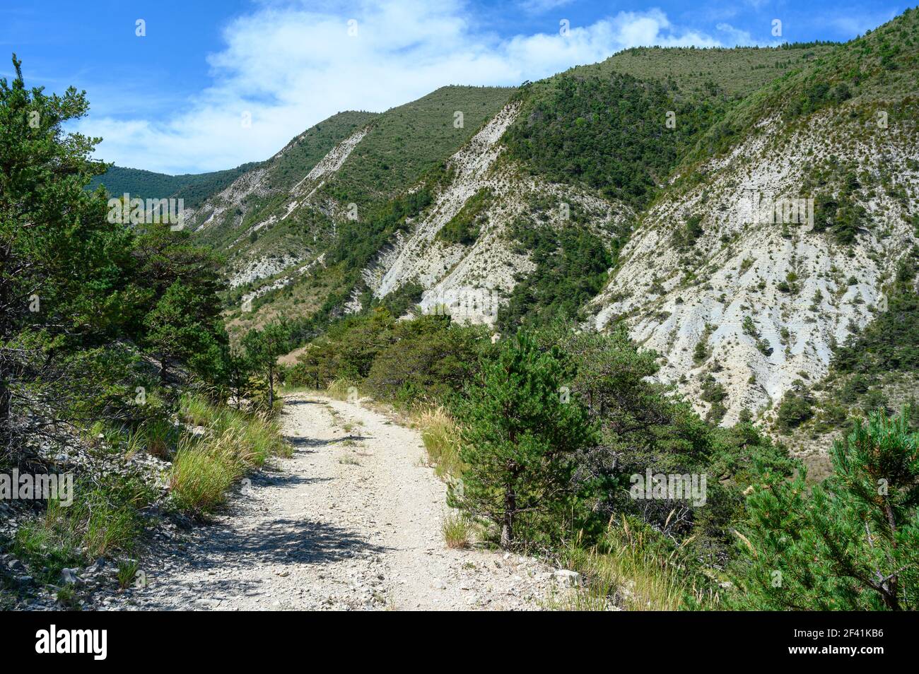 Wild mountain path in desolate landscape surrounded by bushes and ...