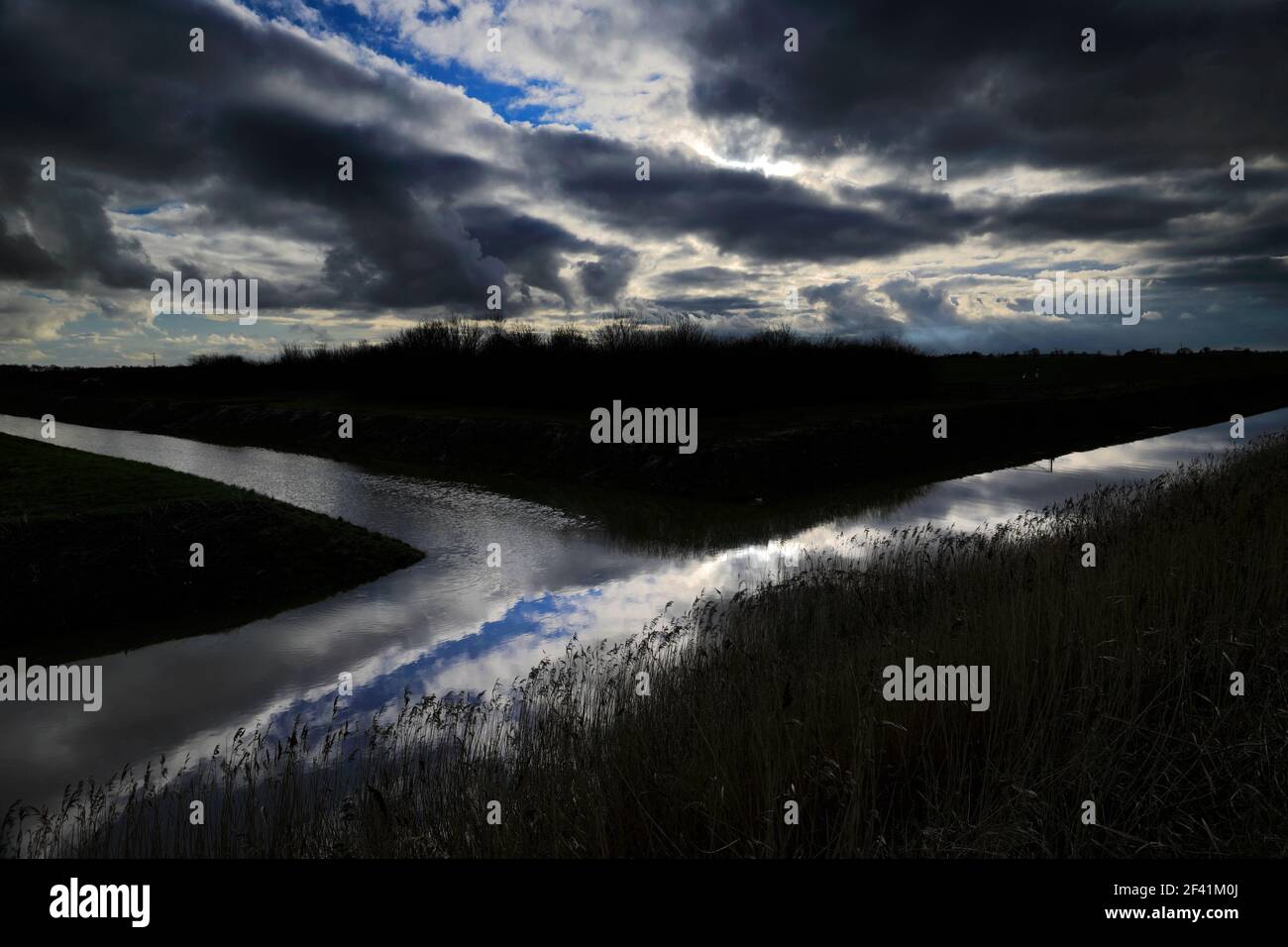 Nene washes hi-res stock photography and images - Alamy
