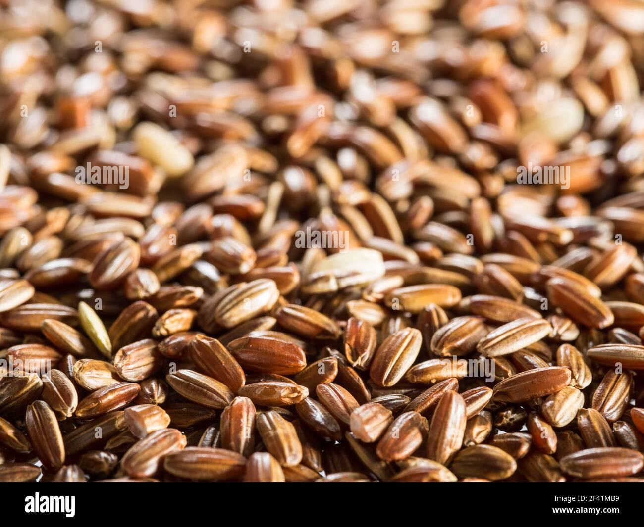 Fiber hull hi-res stock photography and images - Alamy