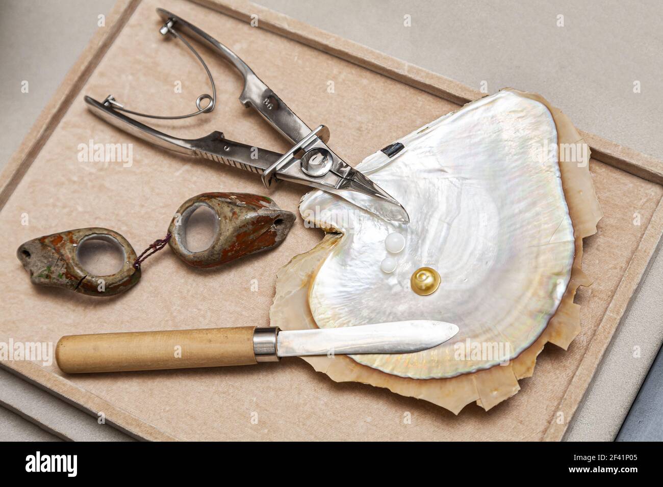 Natural pearls inside the oyster shell. Instruments for pearl ...