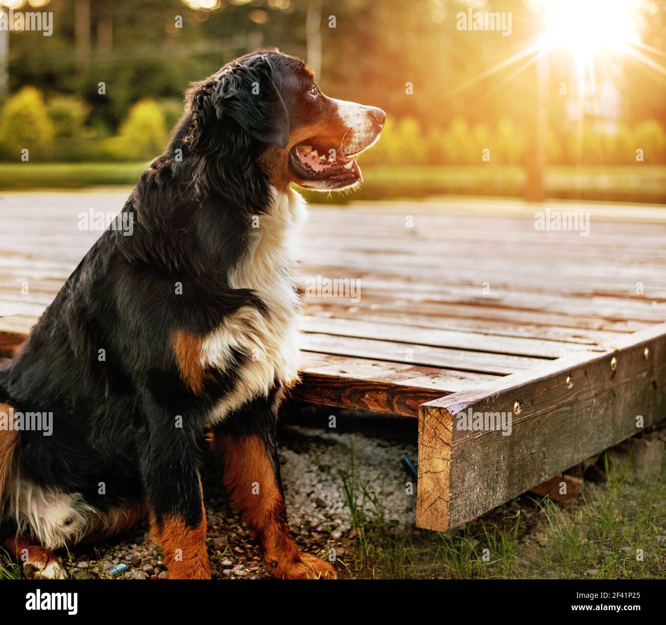 Calm and friendly hi-res stock photography and images - Alamy