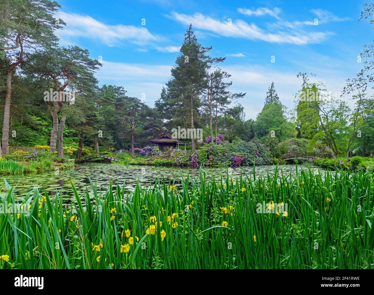 Shinto temple hi-res stock photography and images - Alamy