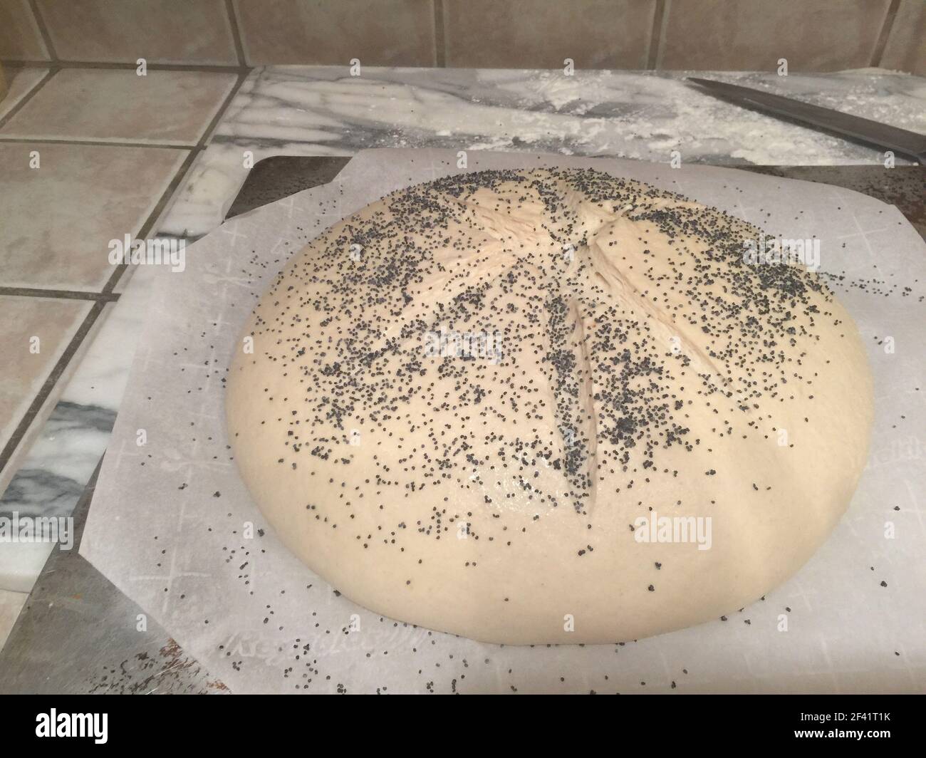 Proofing bread hi-res stock photography and images - Alamy