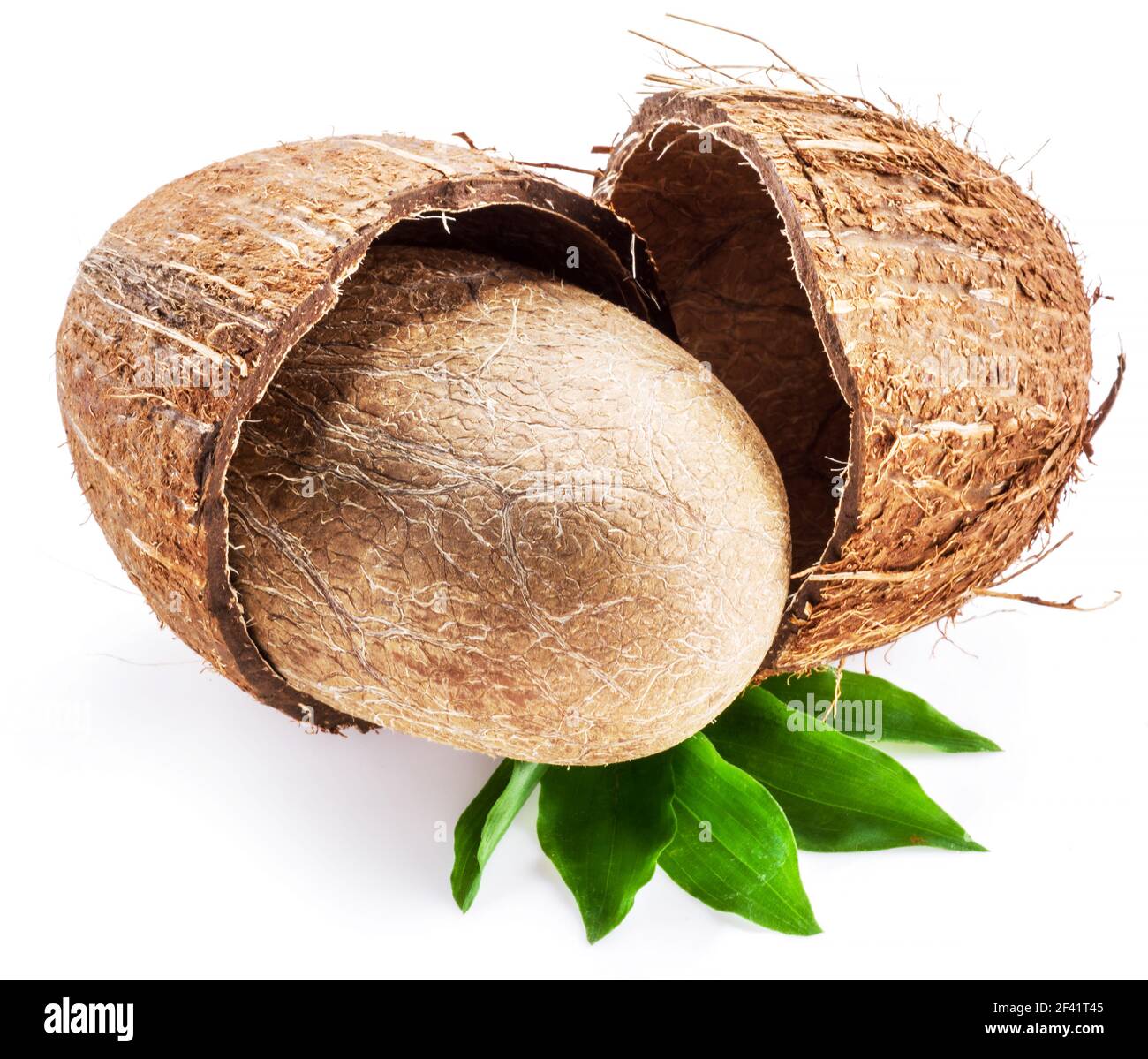Split coconut fruit with whole inside seed isolated on white background ...