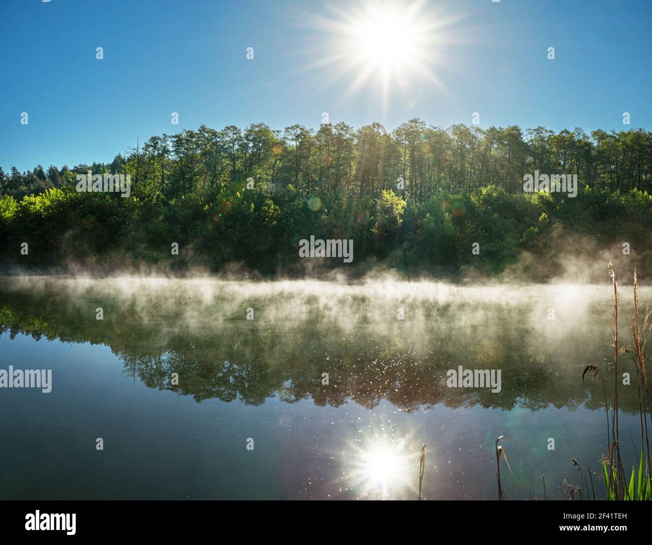 Beautiful river bank in the sun rays and morning fog in the summer ...