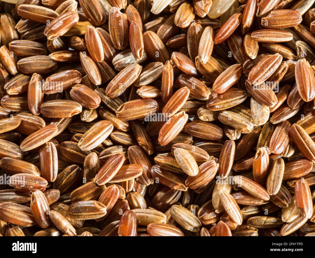 Fiber hull hi-res stock photography and images - Alamy