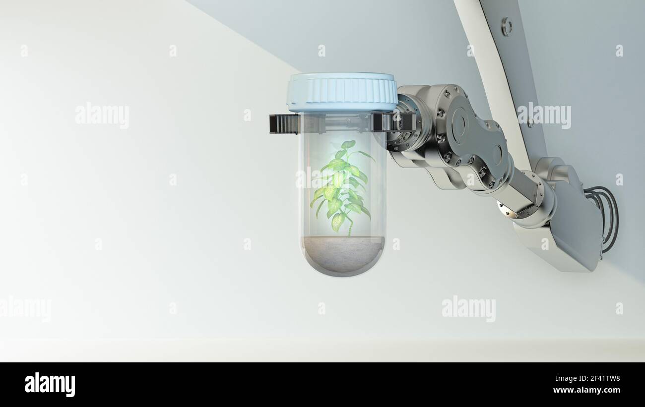 robotic arm holding capsule with plant. 3d rendering Stock Photo - Alamy