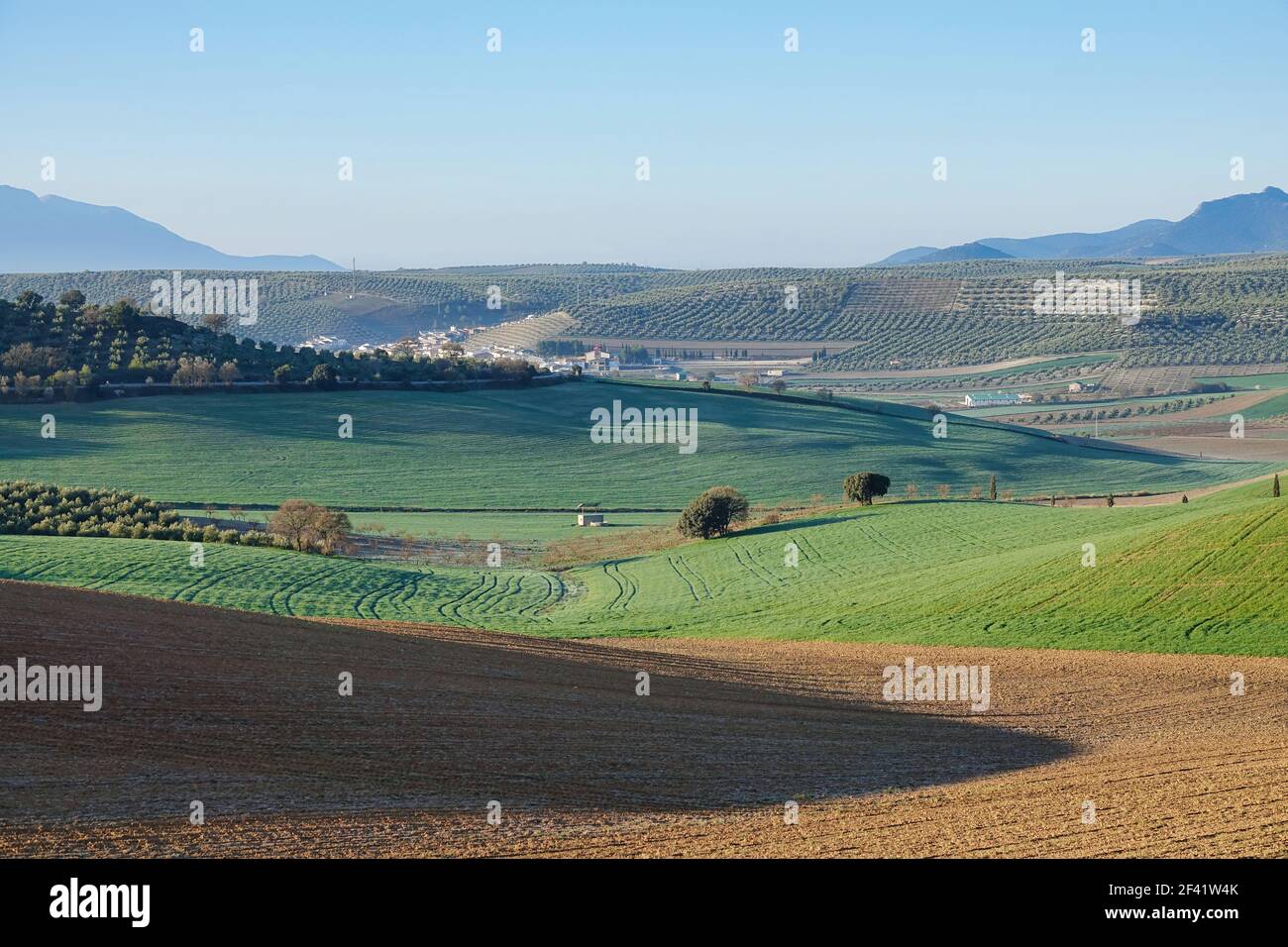 Different types of cultivation hi-res stock photography and images - Alamy
