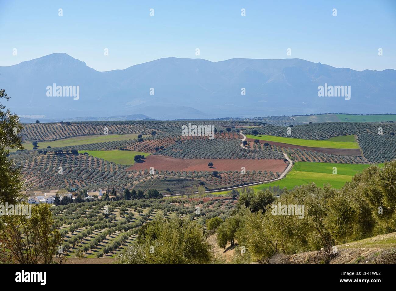 Different types of cultivation hi-res stock photography and images - Alamy