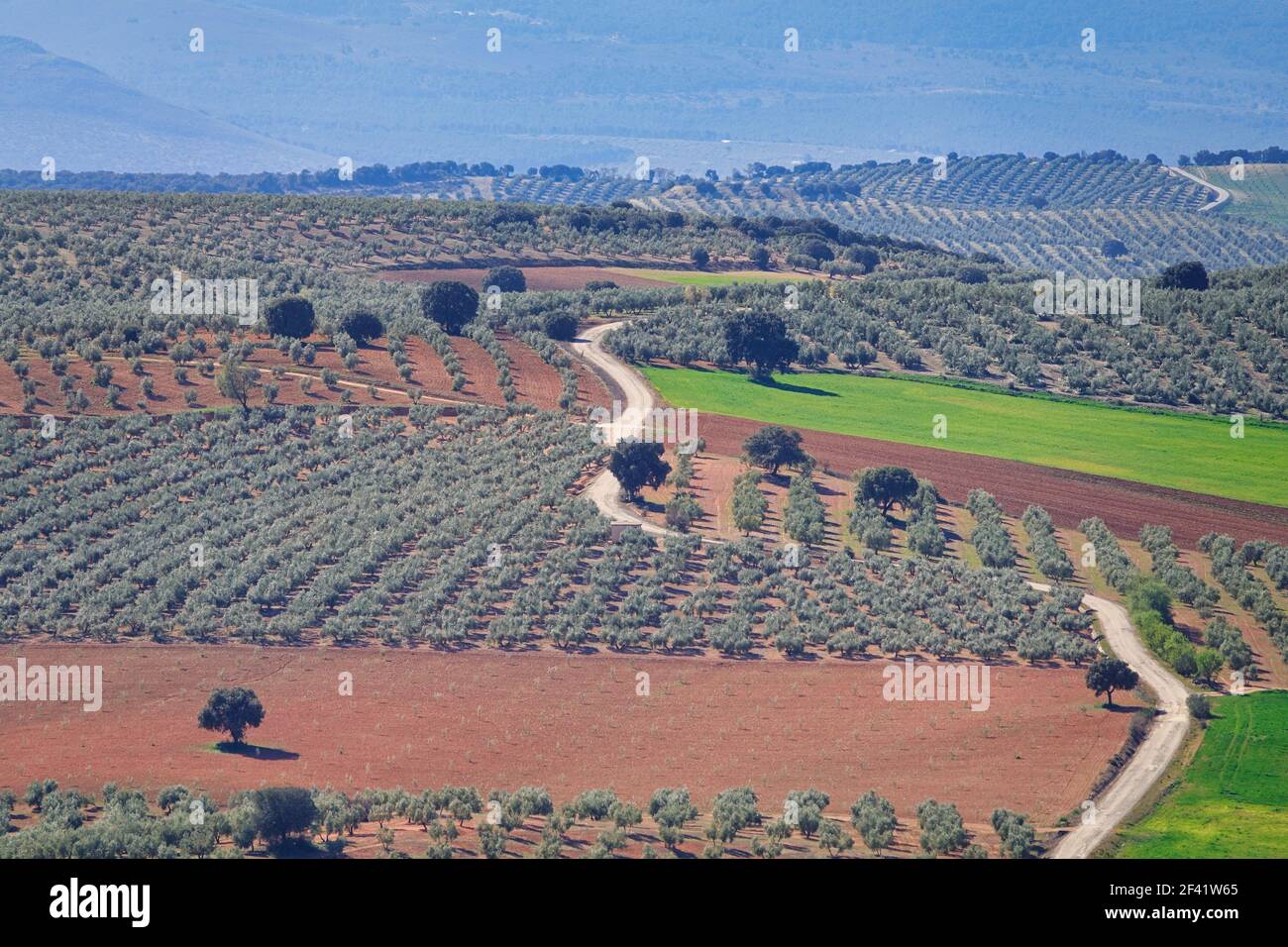 Andalusian rural landscape at sunrise with hills and different types of ...