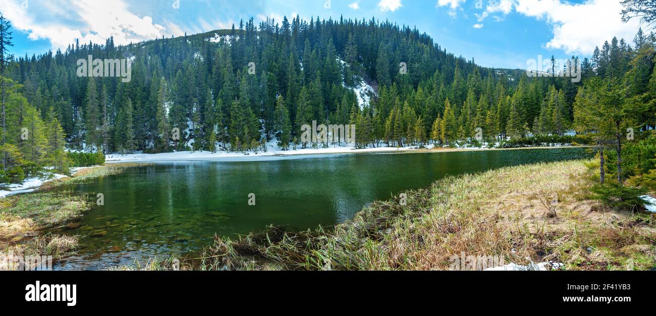 High mountain spruce hi-res stock photography and images - Alamy