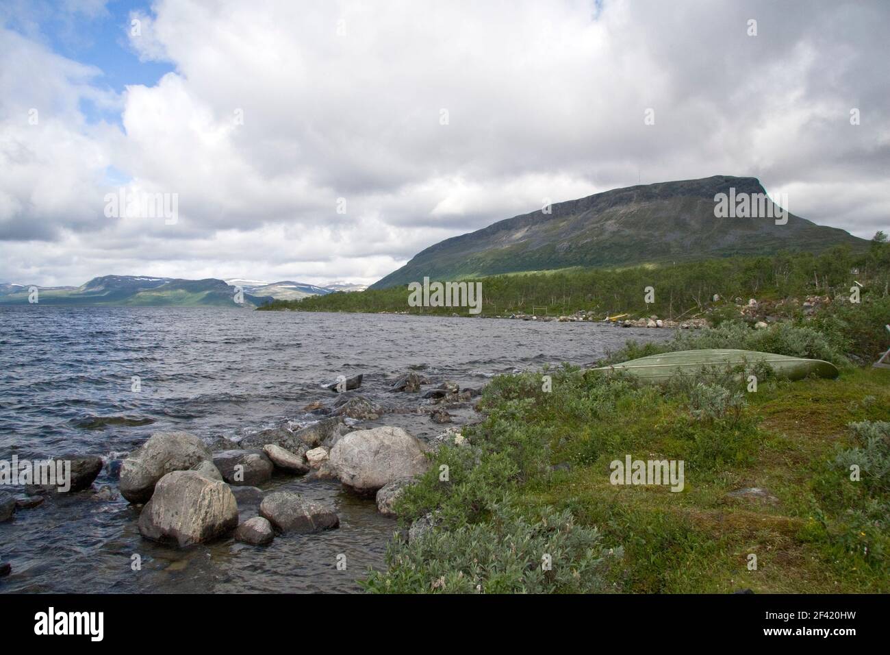 Arctic Circle Lapland Scandinavia Tree High Resolution Stock ...