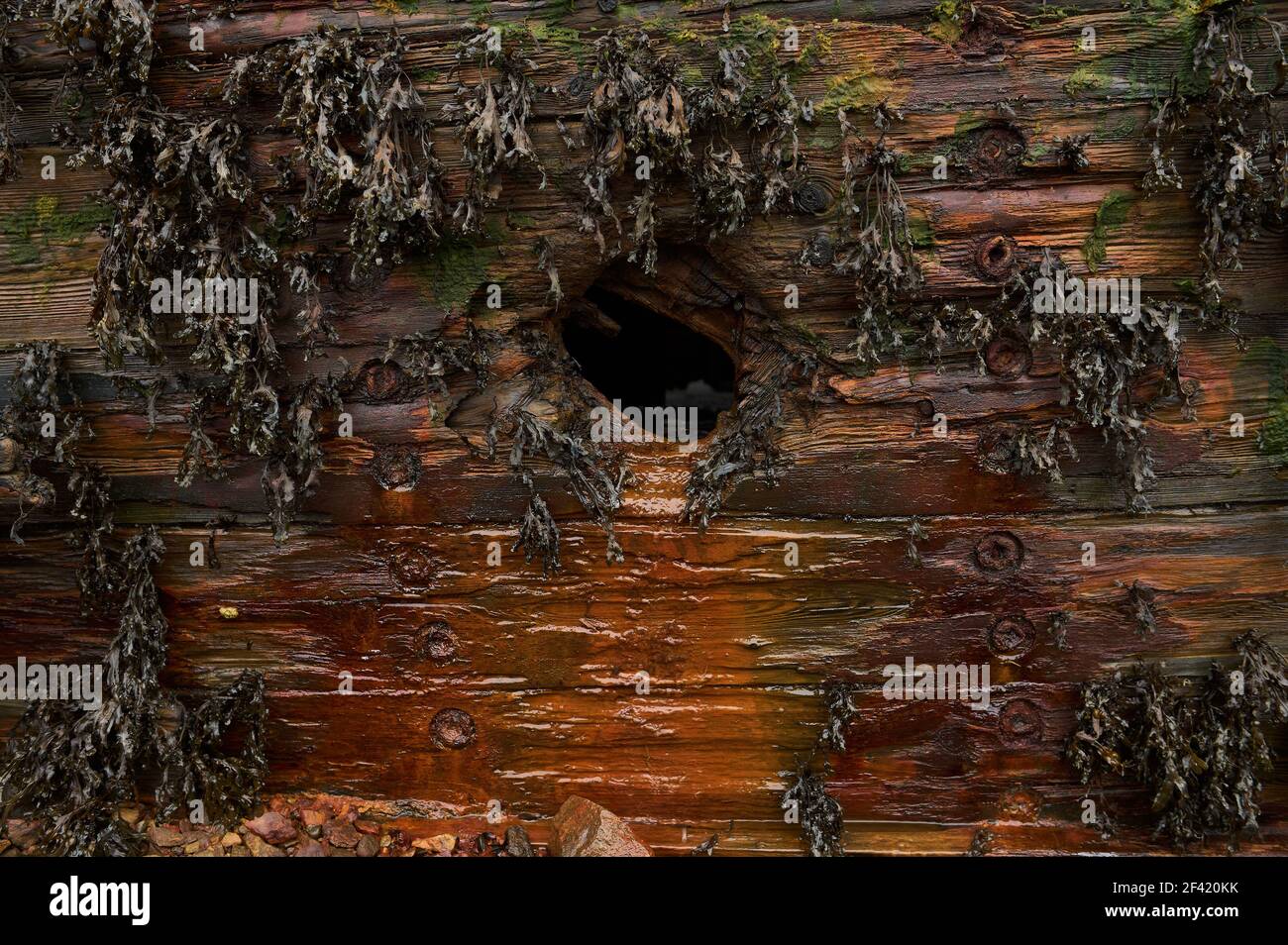 Close up surface of old wooden boat, of old shipyard side Stock Photo ...