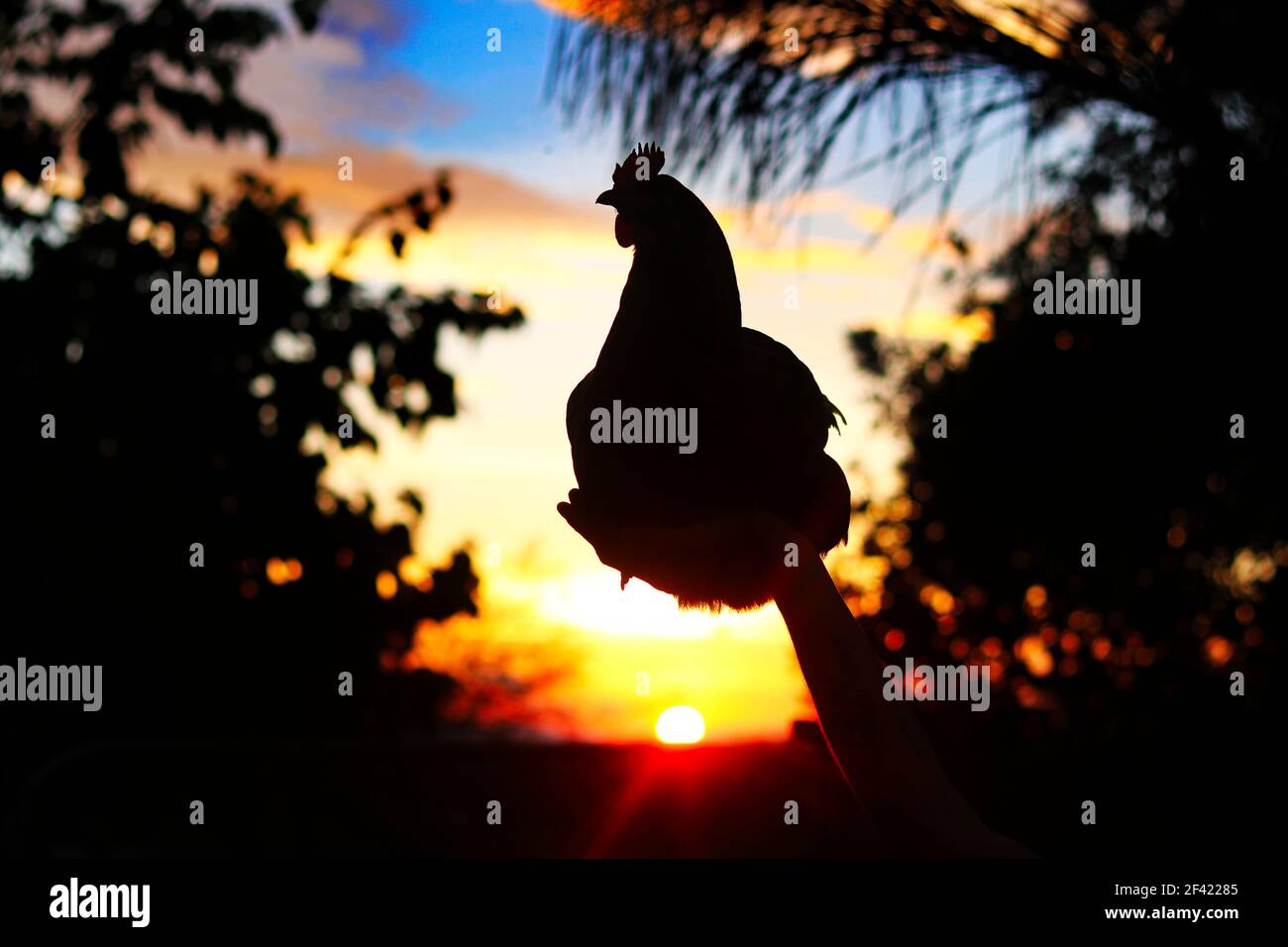Epic Sunset Photo Stock Photo - Alamy