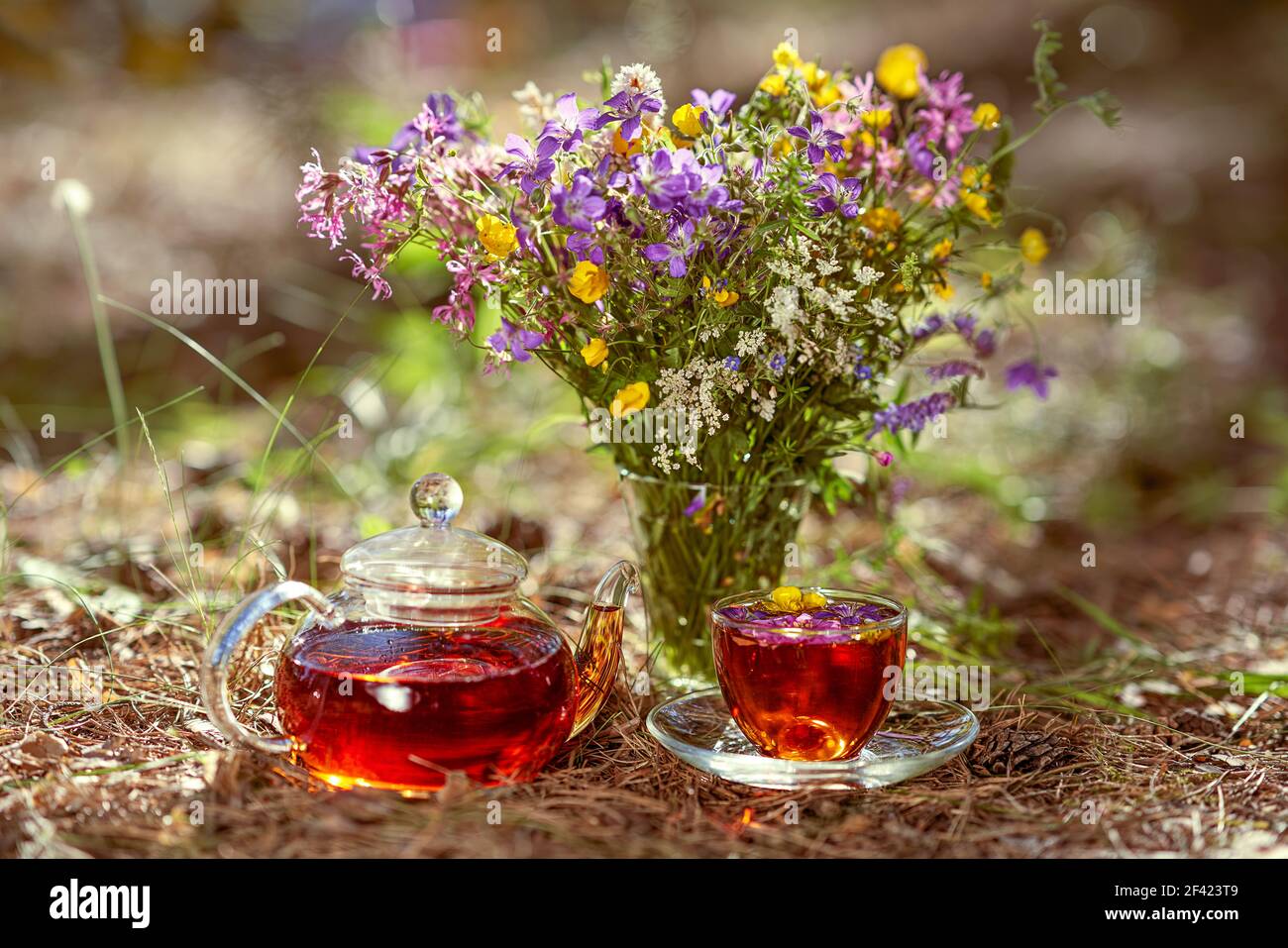 Tea party in the open air. Close-up of a Cup and teapot in nature in ...