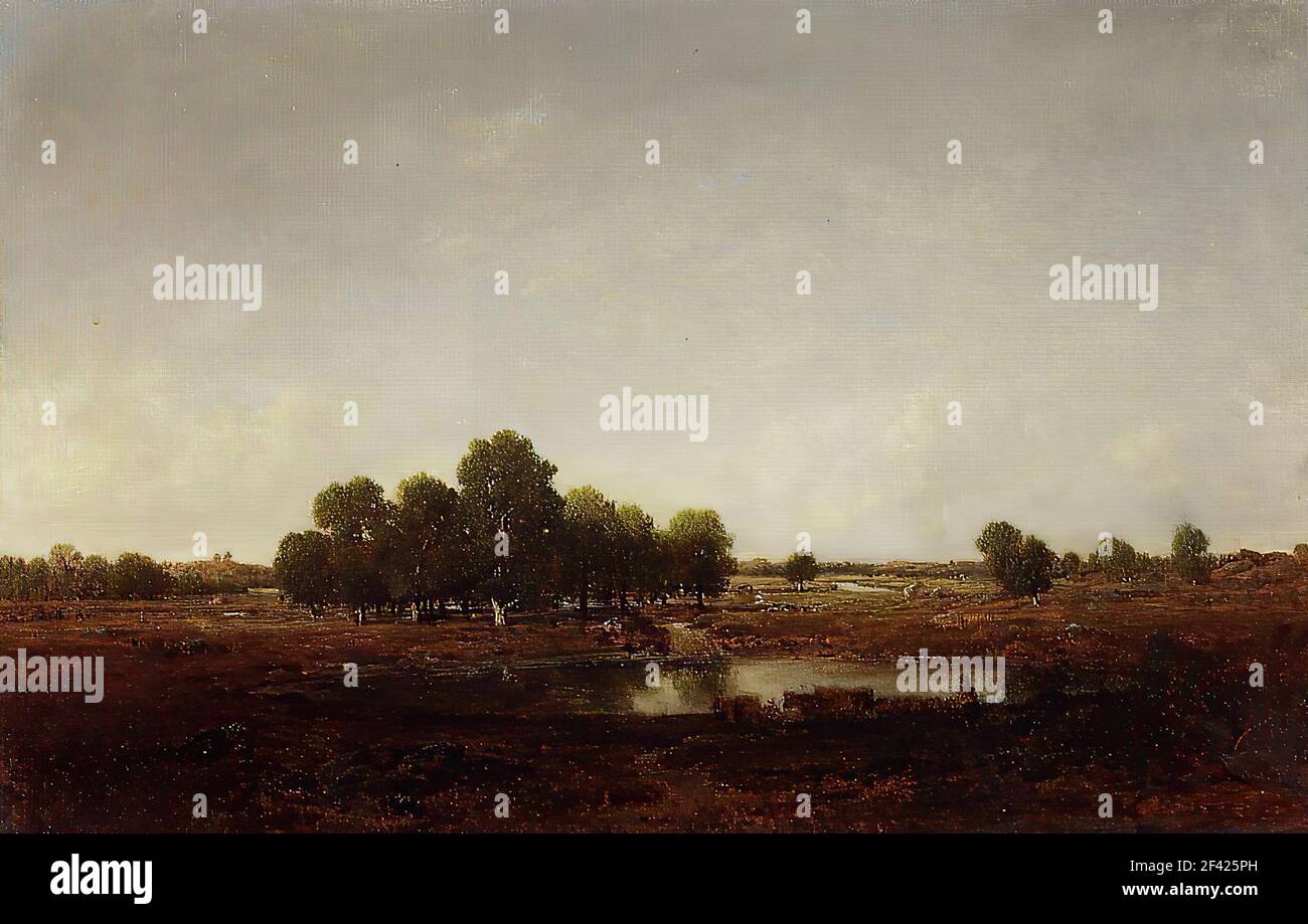 Marsh master hi-res stock photography and images - Alamy