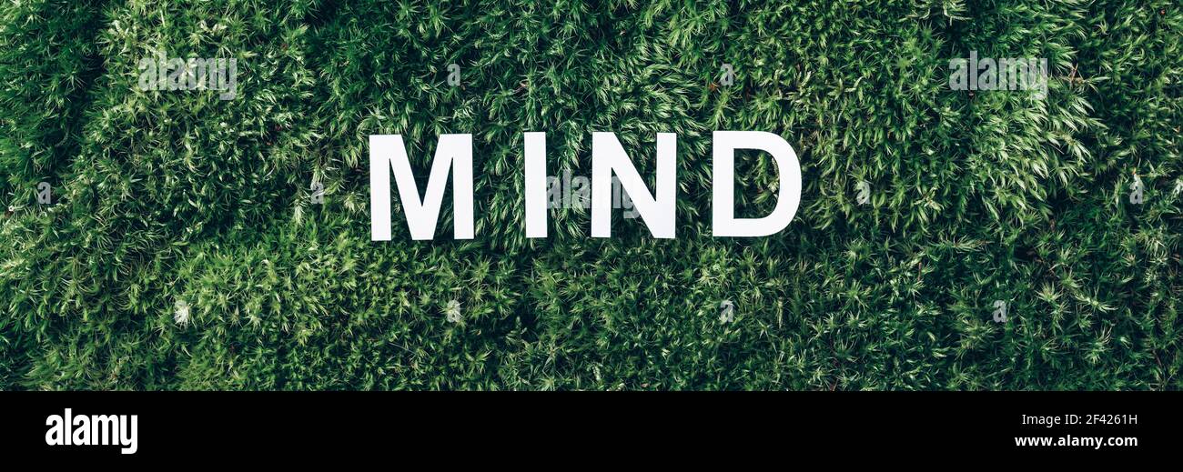 Word Mind on moss, green grass background. Top view. Copy space. Banner ...