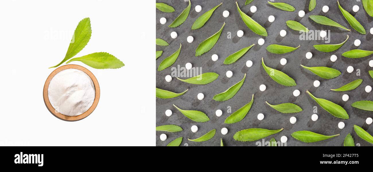 Stevia rebaudiana - Natural sweetener in powder from stevia plant Stock ...