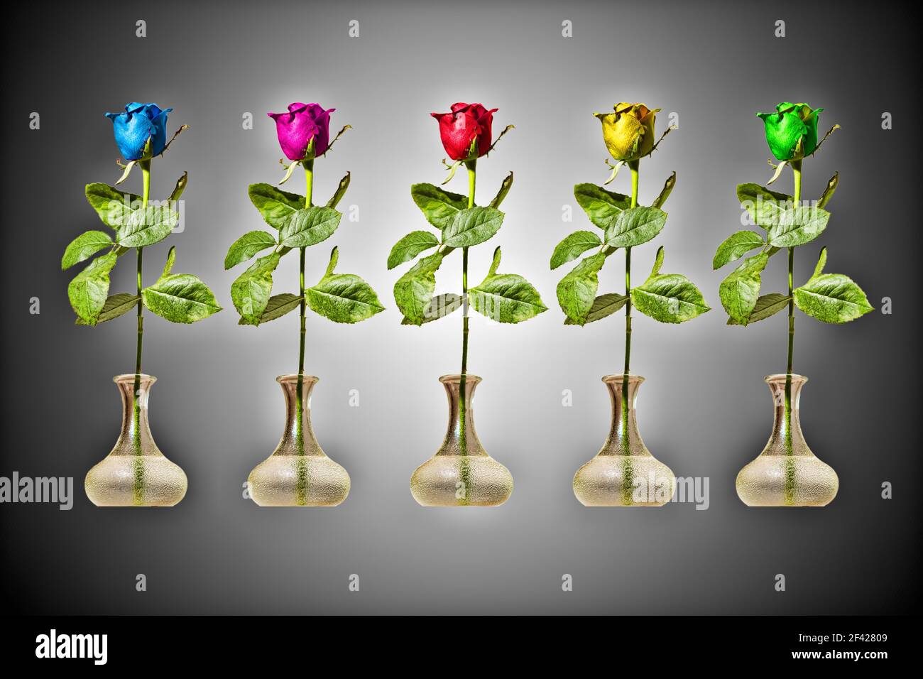 Composition of colored roses Stock Photo - Alamy