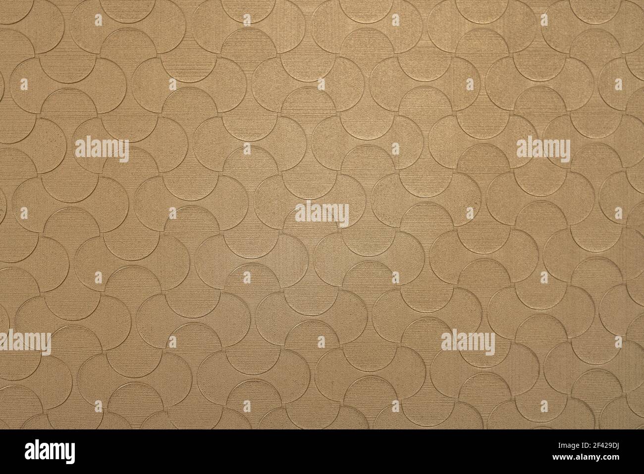 Structure of a fish scale hi-res stock photography and images - Alamy