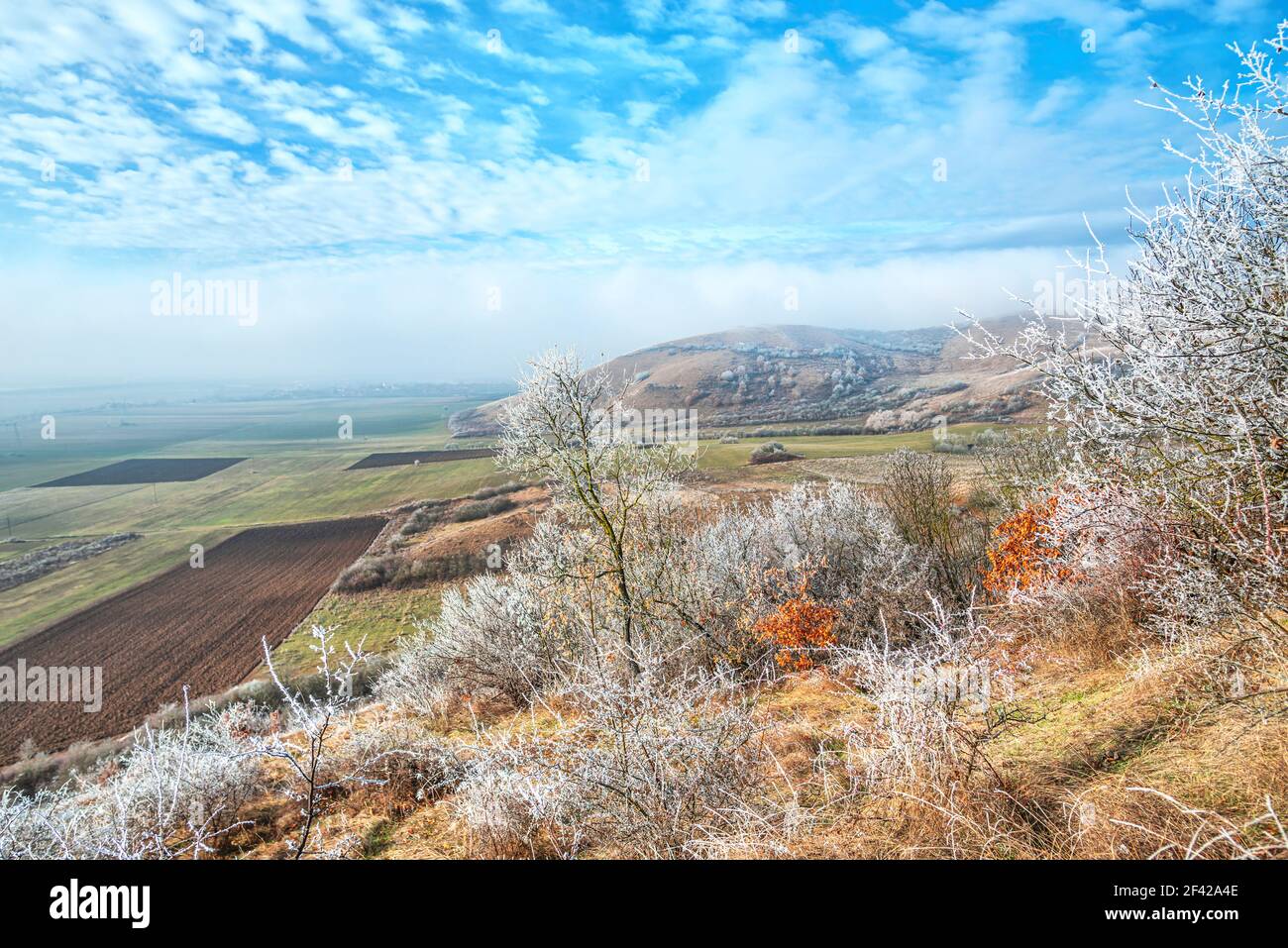 Winter wonderland landscape Stock Photo - Alamy