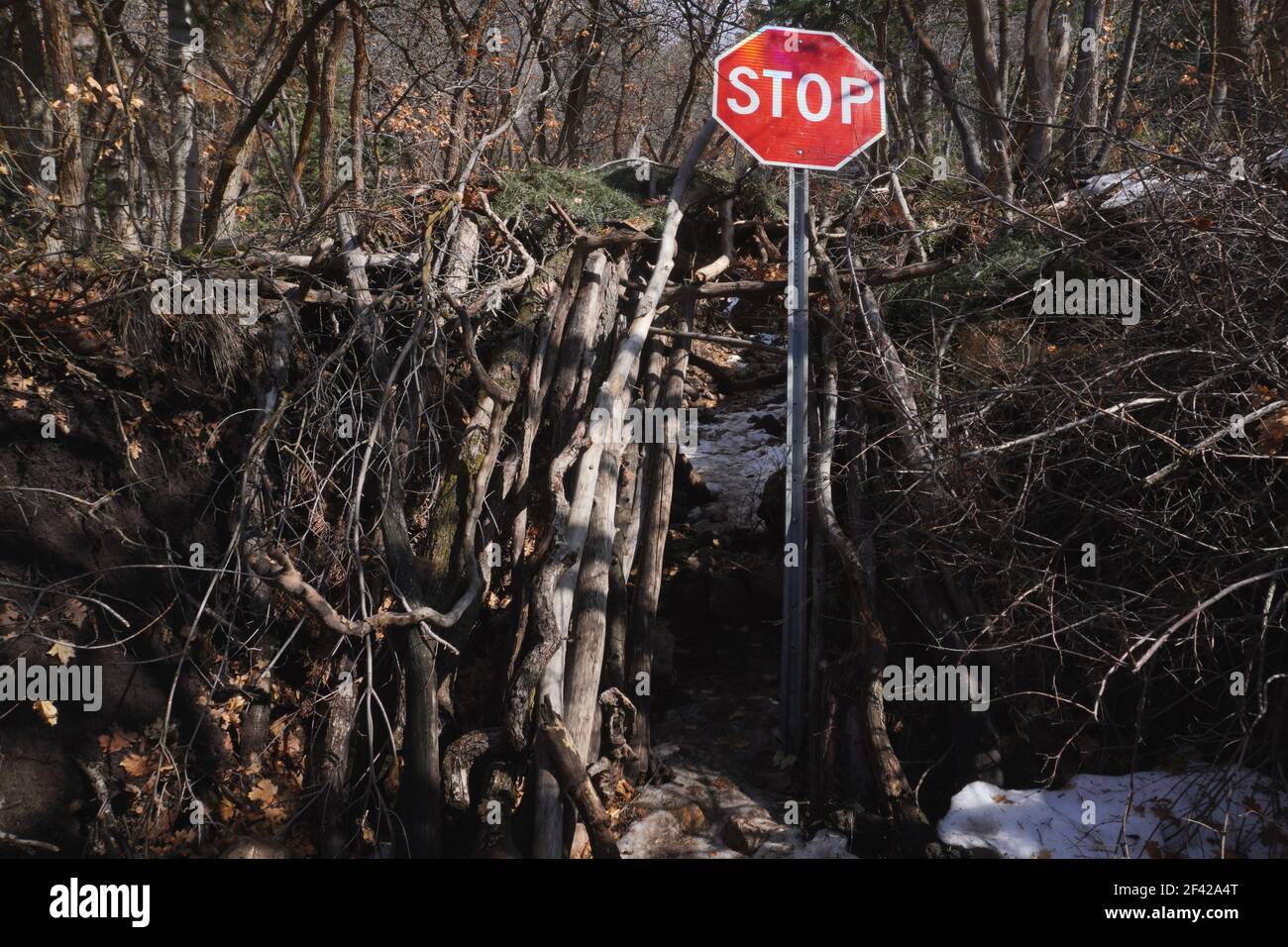 Stop sticks hi-res stock photography and images - Alamy